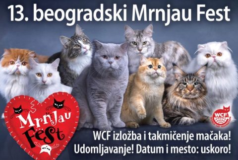 Le PETit WCF | Felinološko društvo Le PETit WCF